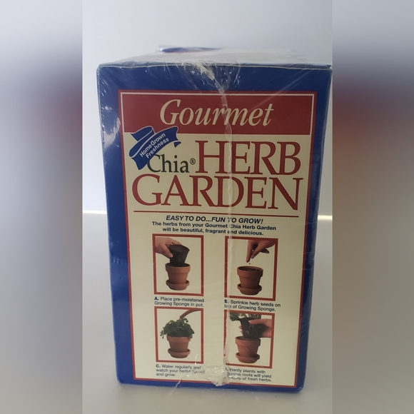 Kitchen | New Gourmet Chia Herb Garden Basil Cilantro Chives Dill ...
